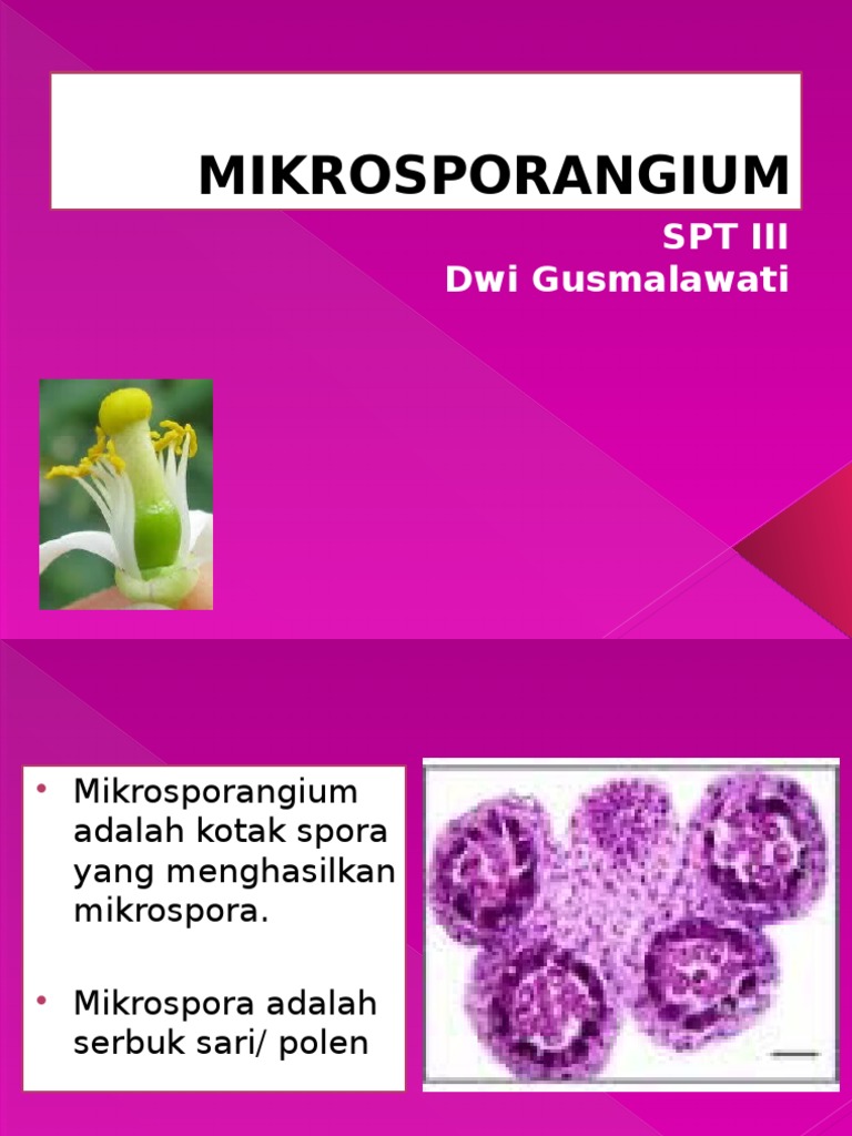 Mikrosporangium dan Mikrospora pada Tumbuhan | PDF