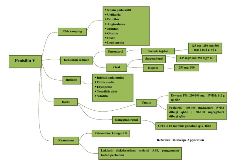 Mind Map Infeksi | PDF