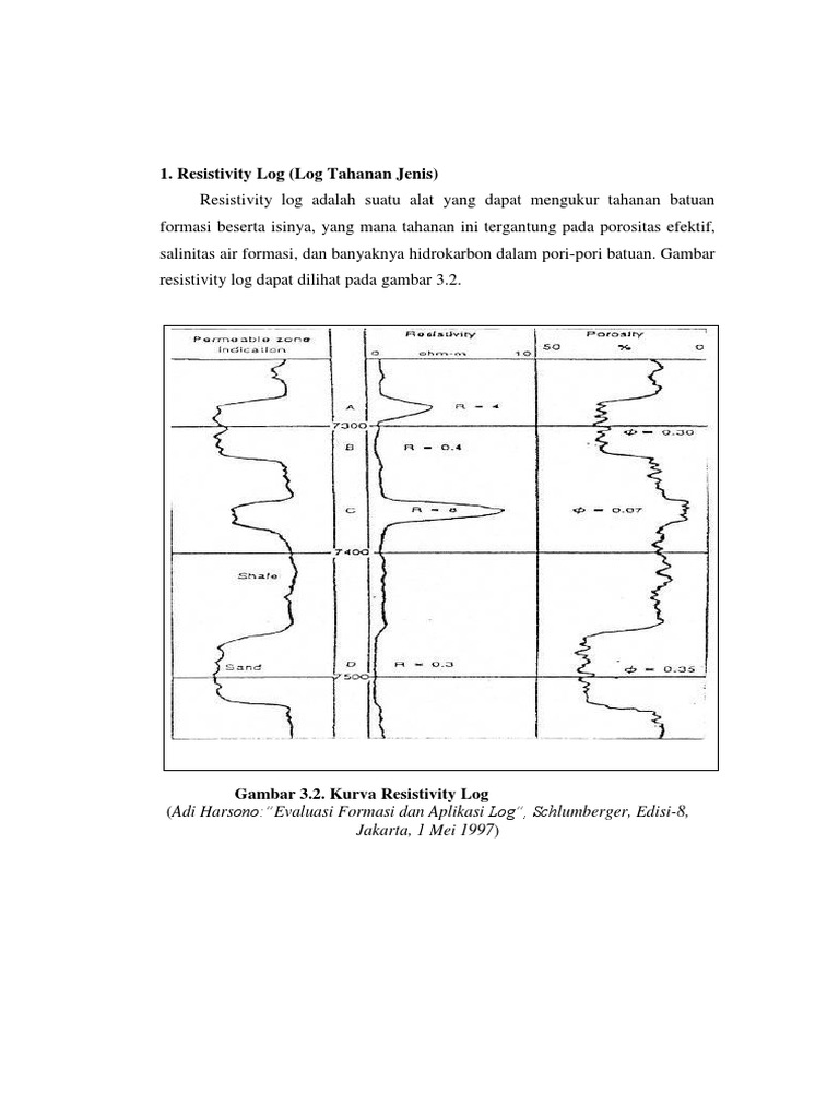 Panduan Lengkap Log Resistivitas | PDF