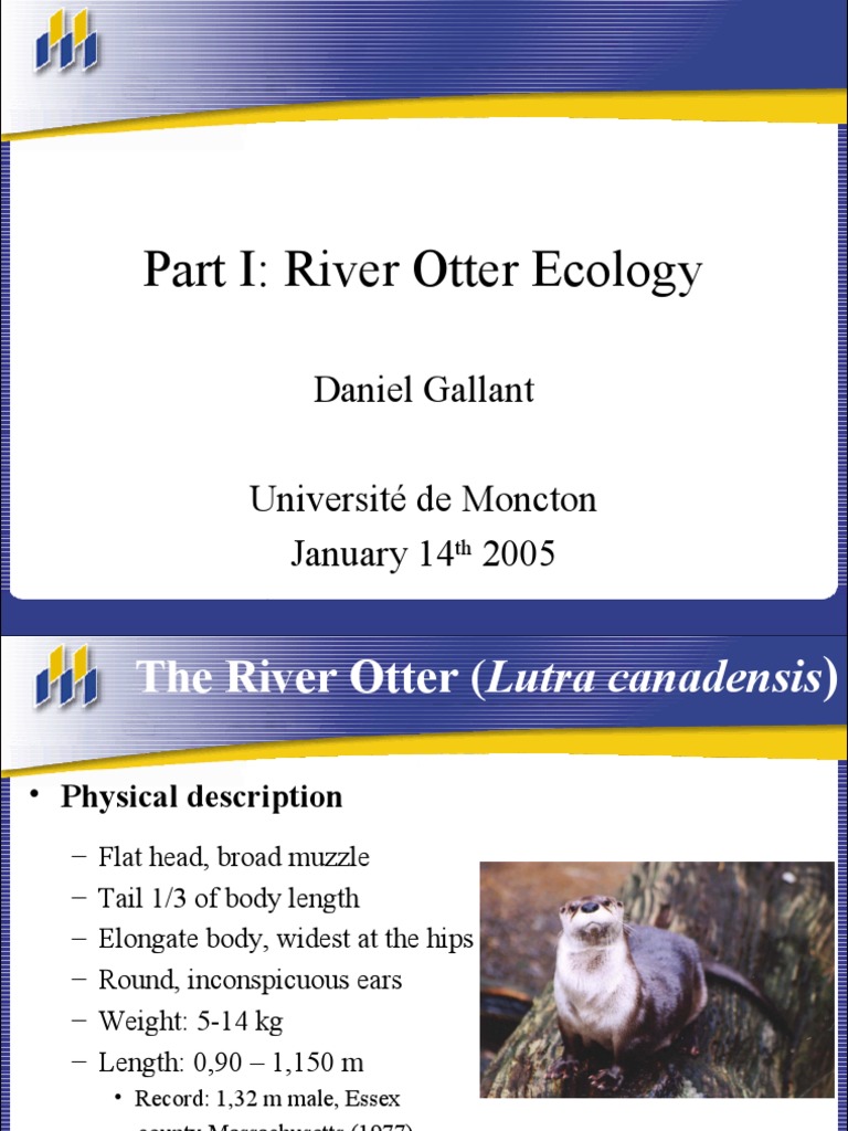 Presentation - Otter Ecology and Research Description - 2005 | PDF ...