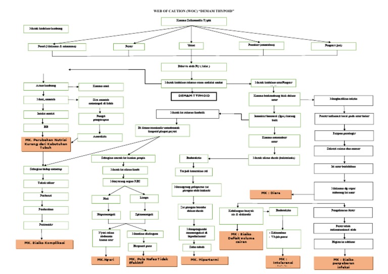 Woc Demam | PDF