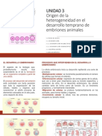Origen Embrionario de Los Tejidos | PDF | Embrión | Biología del desarrollo