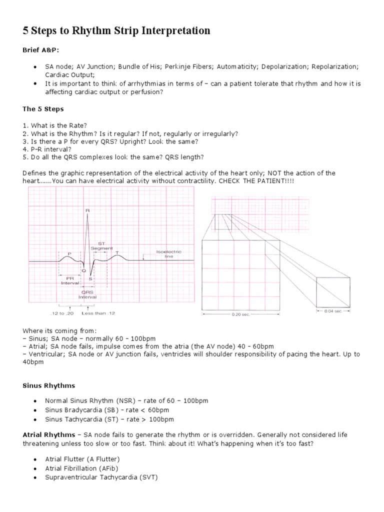 5 Steps to ECG Rhythm Interpretation | PDF | Physiology ...