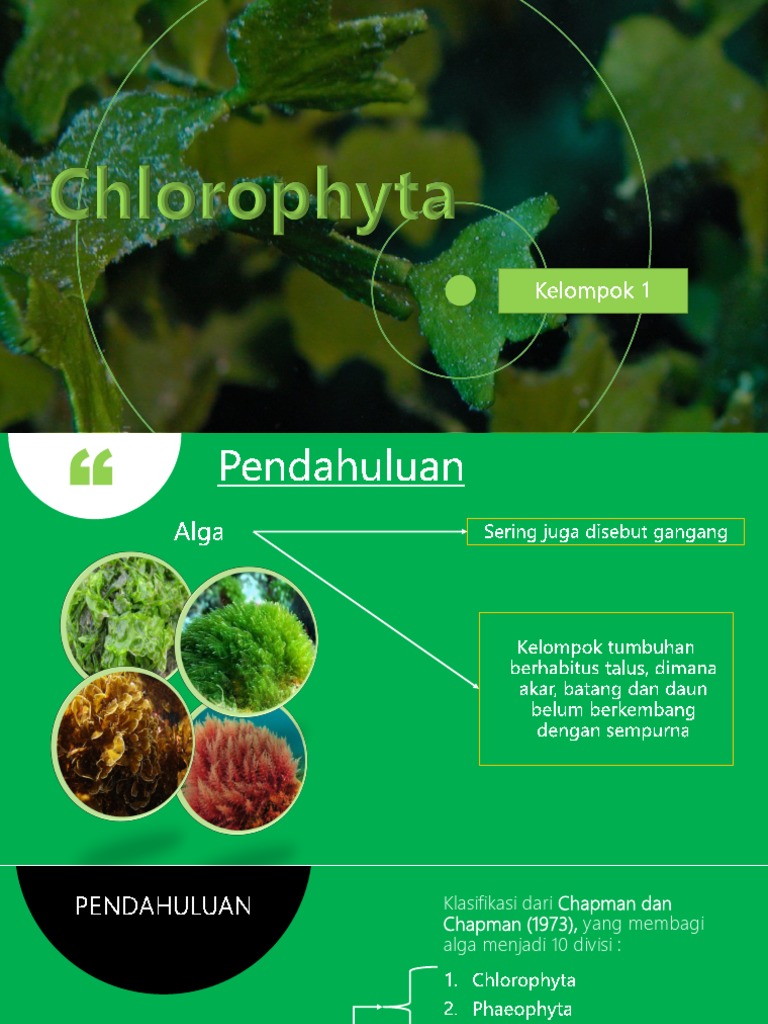 Klasifikasi dan Karakteristik Chlorophyta | PDF