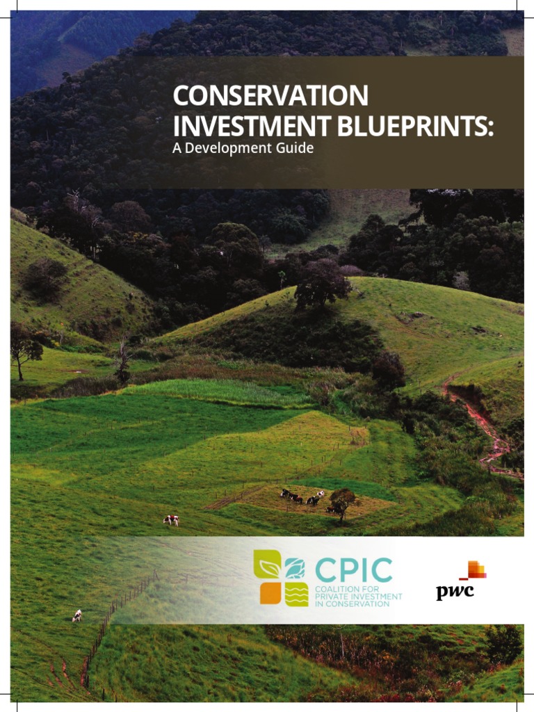 CPIC Blueprint Development Guide 2018 | PDF | Investor | Investing