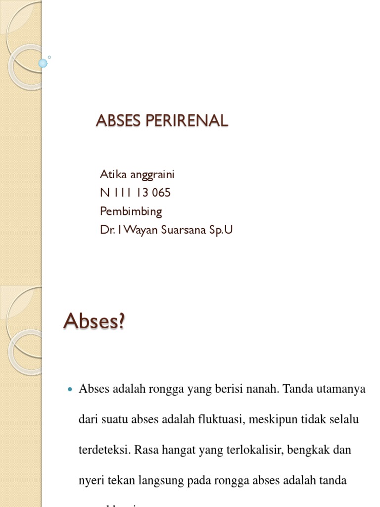 Abses Perirenal | PDF