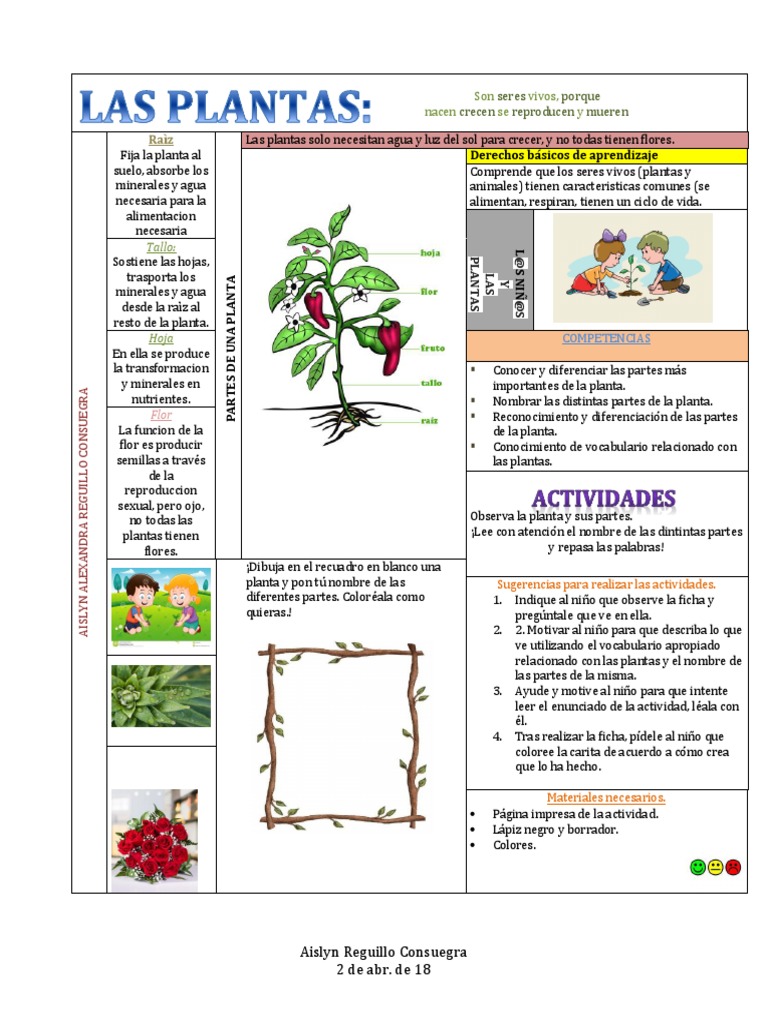 Las Plantas (3) | Evaluación | Plan de estudios | Prueba gratuita de 30 ...