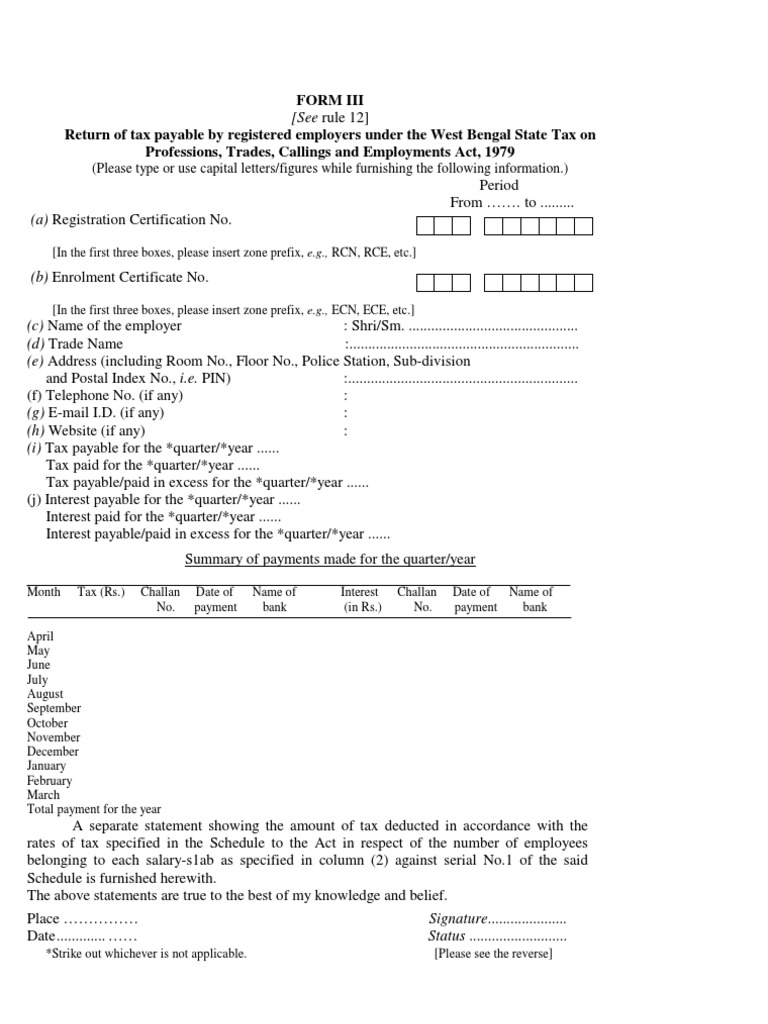 Form Iii PDF Payments Government