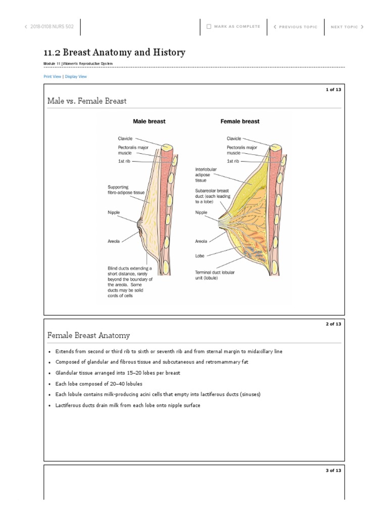 11.2 Breast Anatomy and History: Male vs. Female Breast | PDF | Breast ...