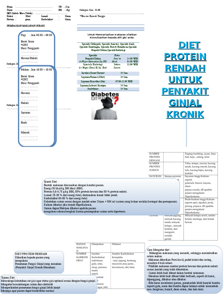 Leaflet Diet Protein Rendah | PDF