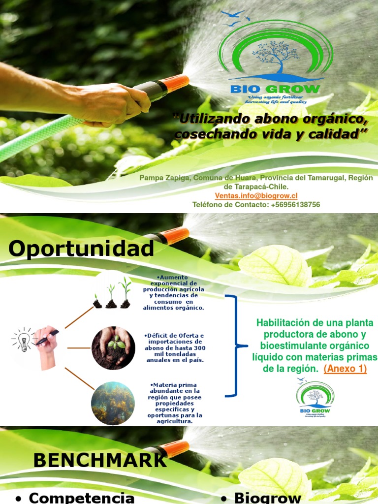Presentación Biogrow | PDF | Fertilizante | Agricultura