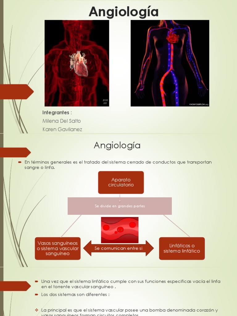 Angiología | Sangre | Sistema circulatorio