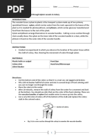 CELERY LAB - Structure and Function of A Plant | PDF | Leaf | Plant Stem