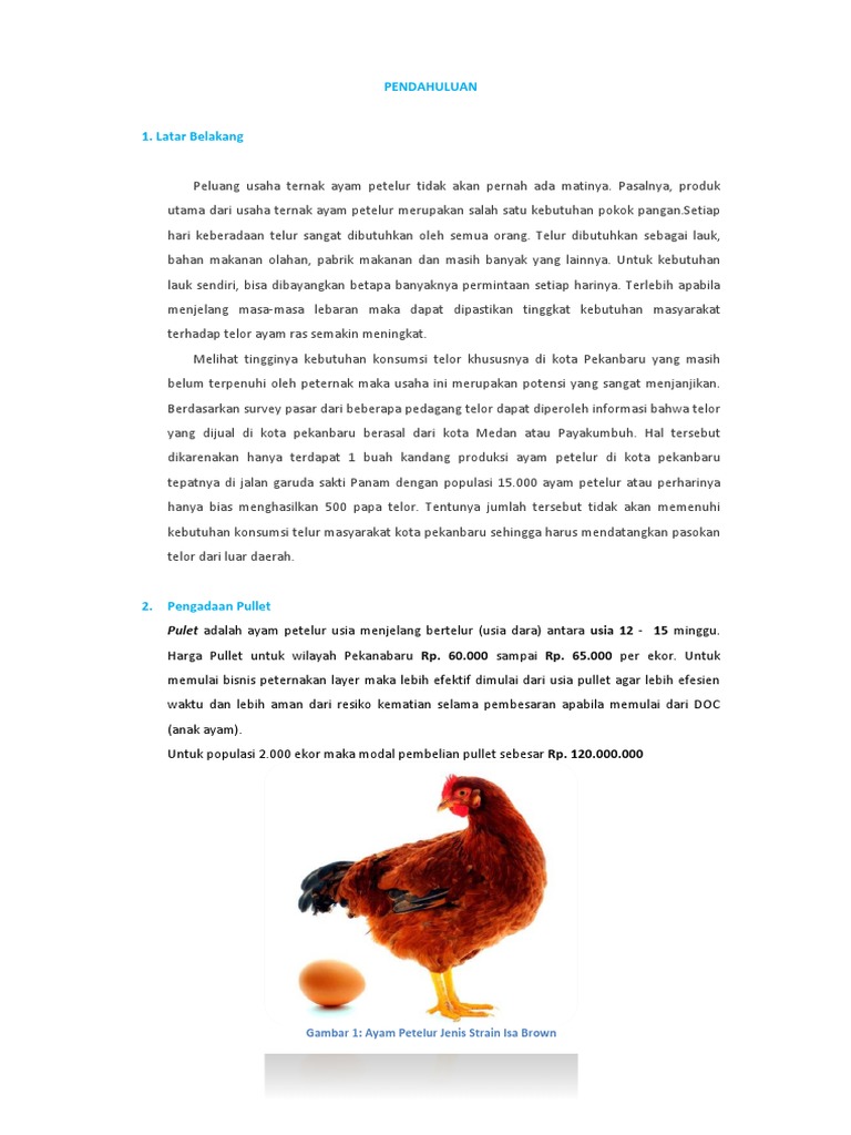 Contoh Proposal Usaha Ayam Petelur - Riset Contoh Proposal Usaha Ayam Petelur - Riset