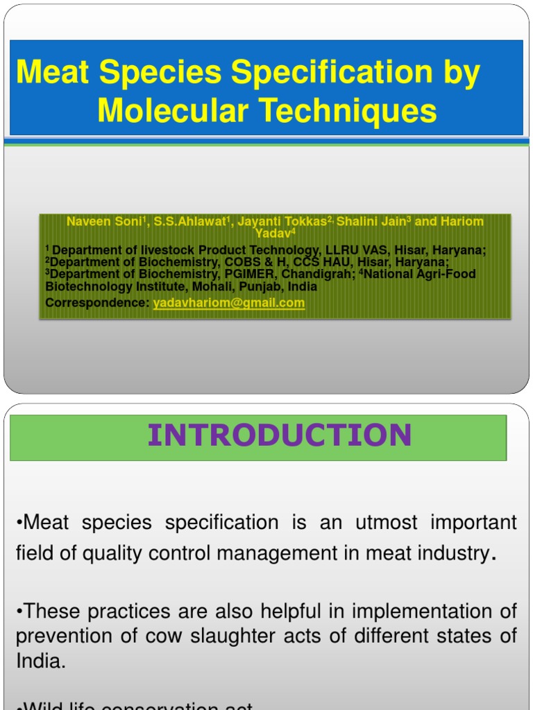 Meat Species Identification | PDF | Polymerase Chain Reaction | Primer ...