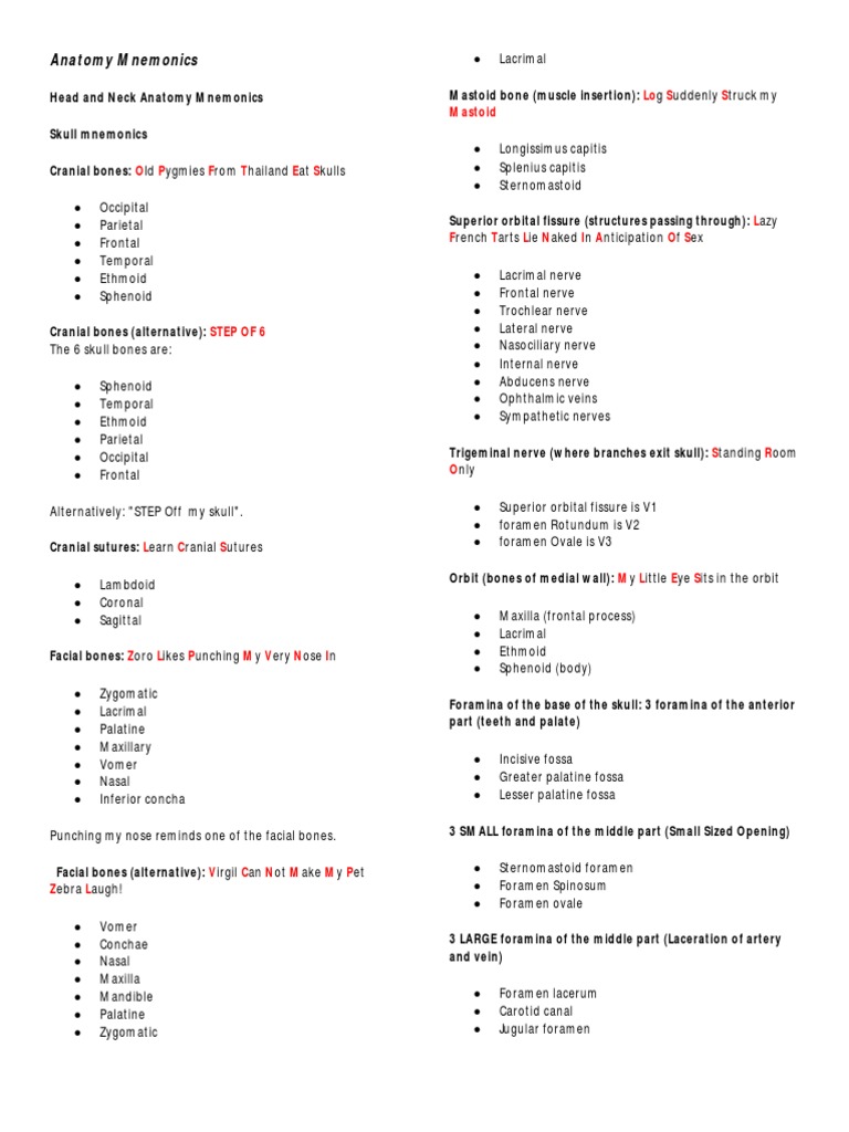 Anatomy Mnemonics | PDF | Skull | Common Carotid Artery