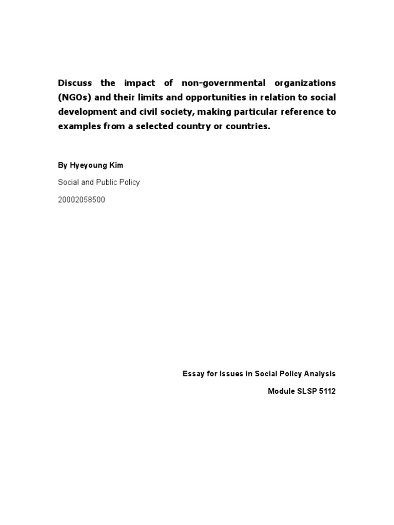 Essay NGO Hyeyoung Kim | PDF | Civil Society | Non Governmental ...