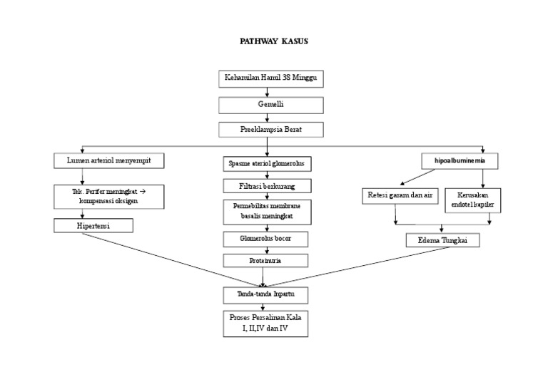 Patway Penyakit Gemelli + Peb | PDF