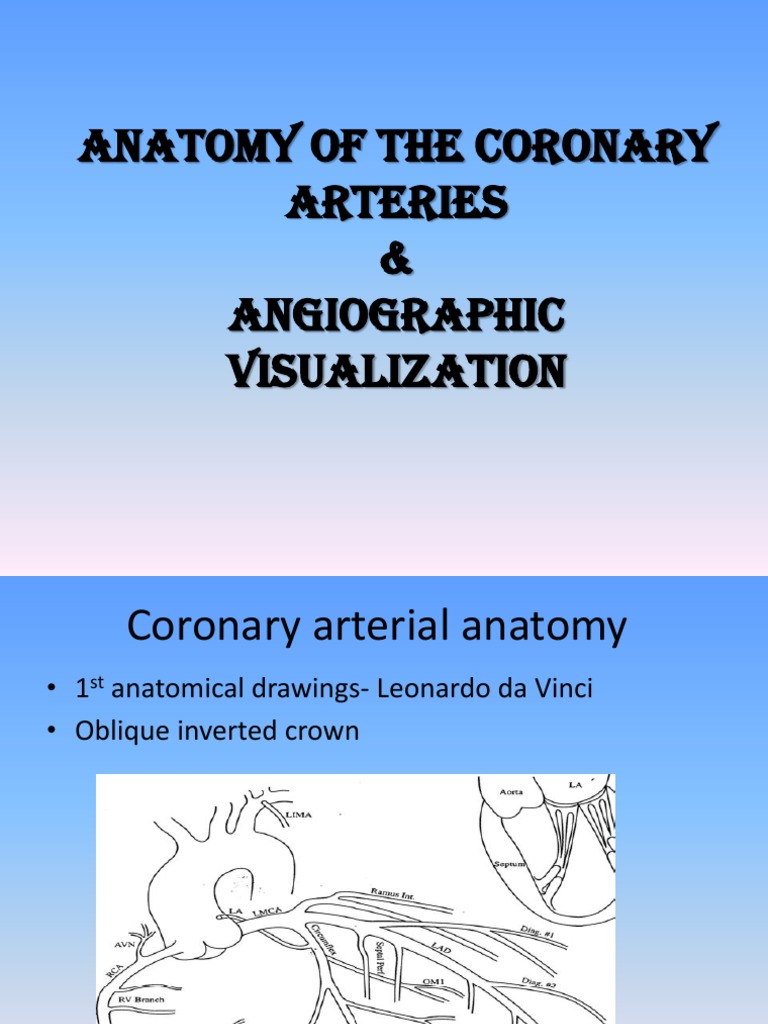 Anatomy of The Coronary Arteries | PDF | Coronary Circulation ...