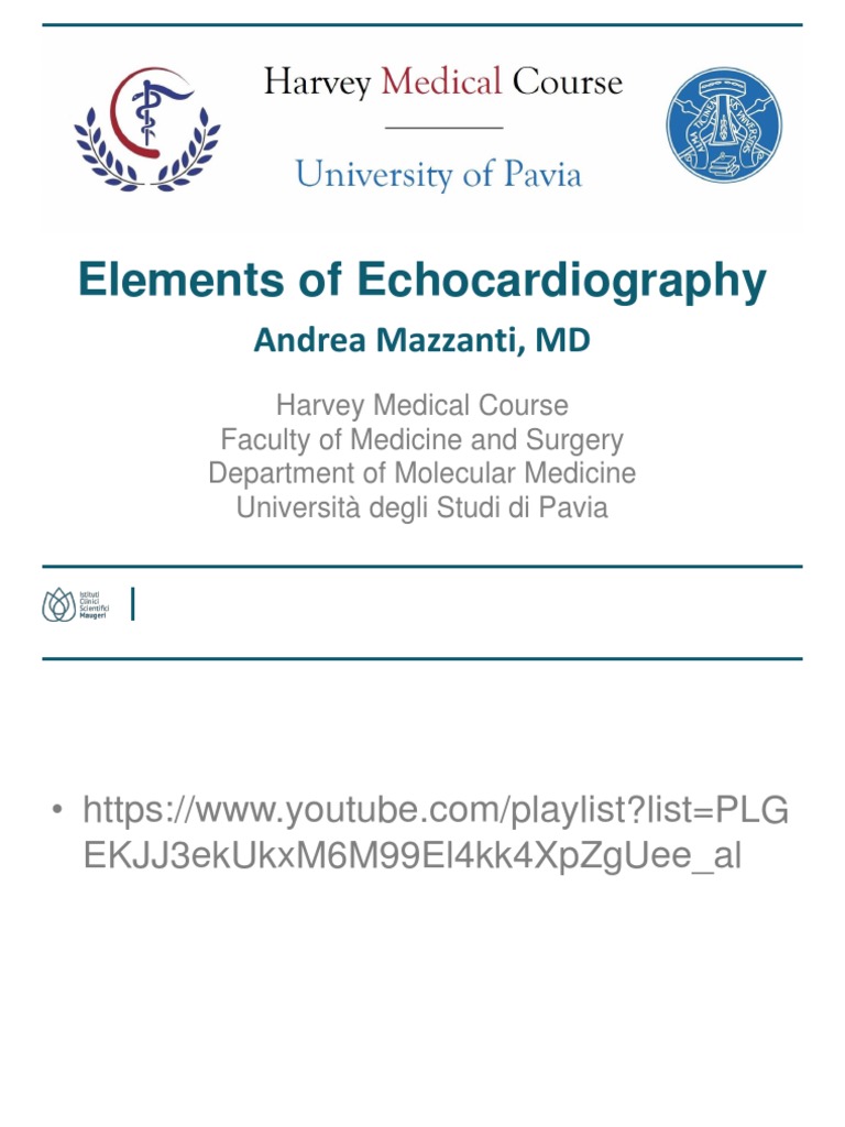 04 - Elements of Echocardiography | PDF | Medical Ultrasound | Hertz
