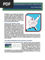 Radial Flow Tee Brochure | PDF | Pipe (Fluid Conveyance) | Chemical ...