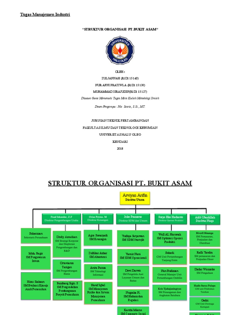 Tugas 3 Struktur Organisasi PT Bukit Asam Afni | PDF Tugas 3 Struktur Organisasi PT Bukit Asam Afni | PDF