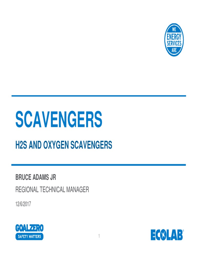 2.6 Scavengers O2 H2S Bruce Adams PDF | PDF | Solubility | Phase (Matter)