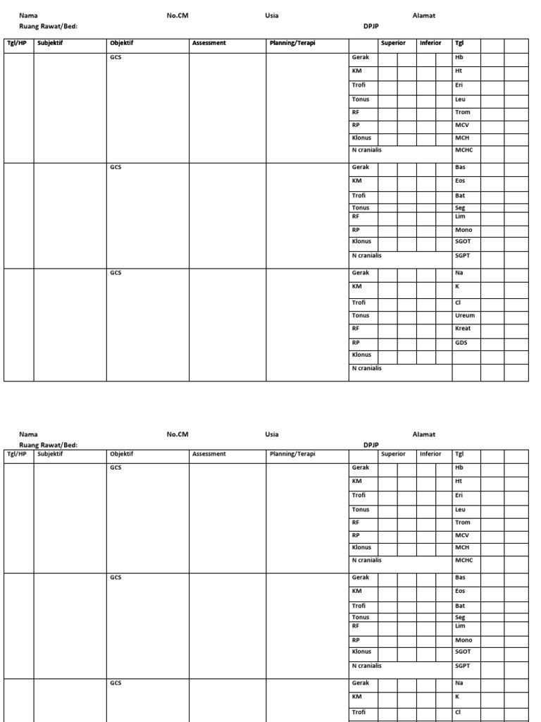Medical Assessment and Planning Template | PDF