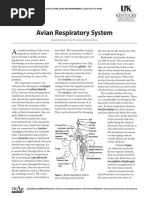 Silverman Anderson Index | PDF | Breathing | Respiratory Tract