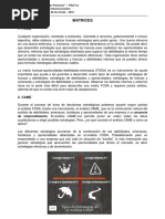 Matriz FODA (Maxi-Mini) | PDF