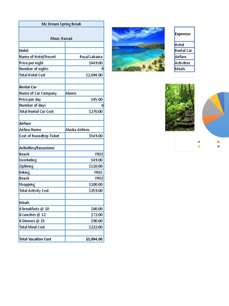 Dream Spring Break Budget Breakdown | PDF