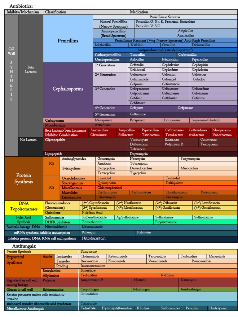Antibiotics Overview and Classification | PDF