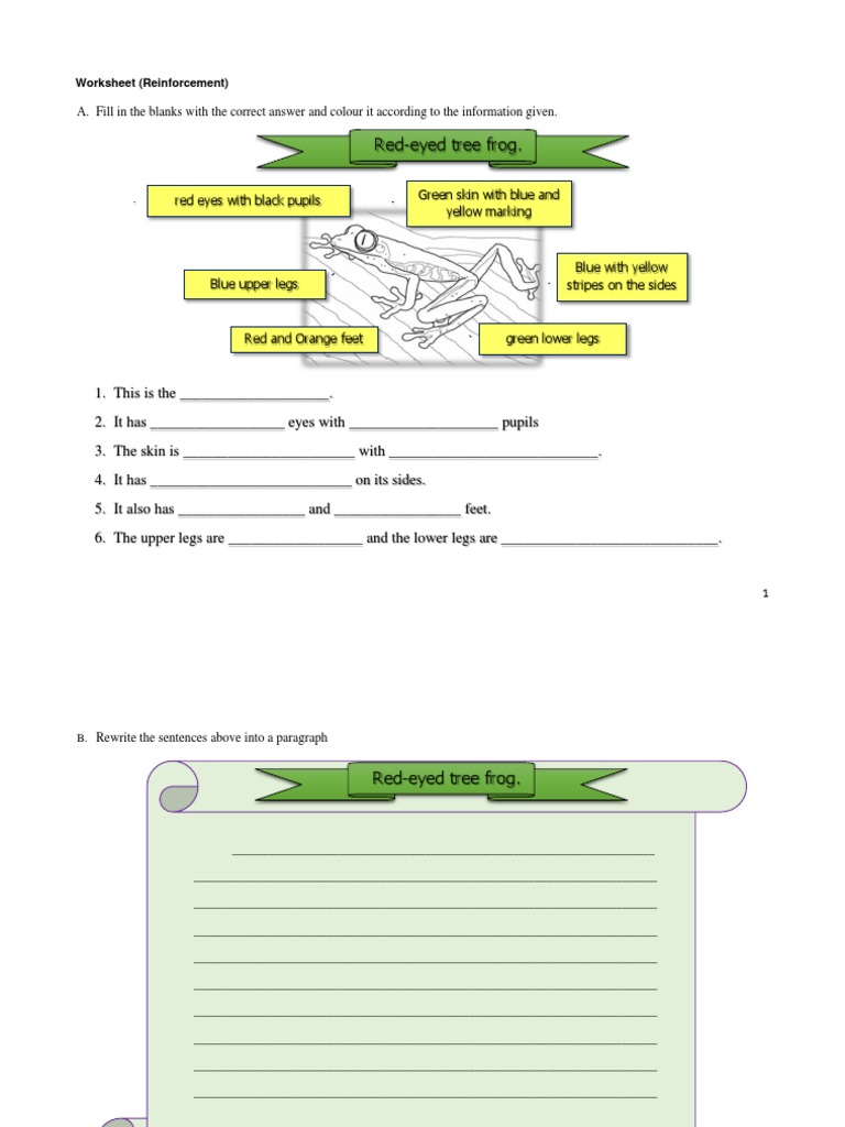Red-Eyed Tree Frog.: Worksheet (Reinforcement) | PDF | Frog | Nature