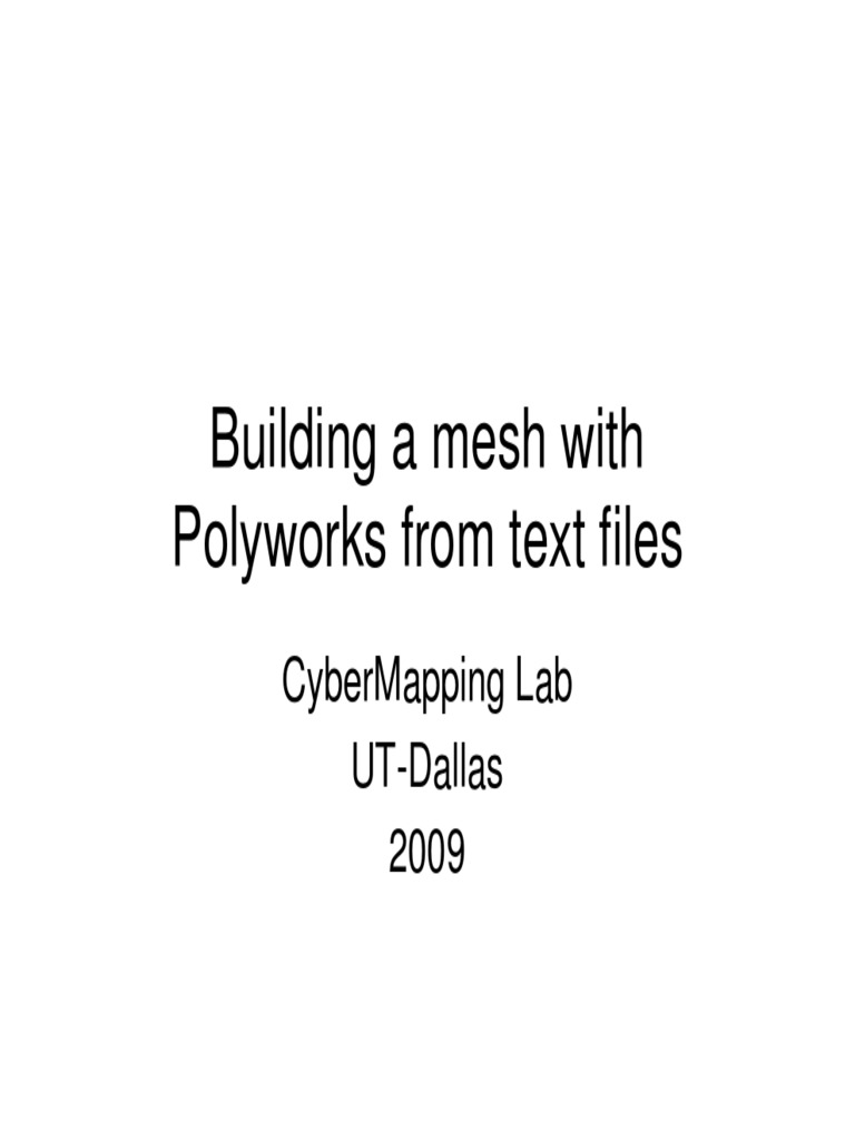 Polyworks Cybermapping - 2009 Building A Mesh From Text Files | PDF | 3 D Modeling | 3 D ...