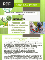 Endogamia y Heterosis | PDF | Agronomía | Endogamia
