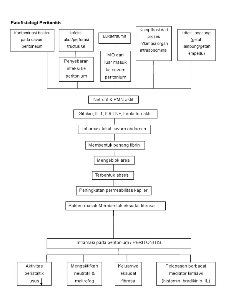 Peritonitis Patofisiologi | PDF