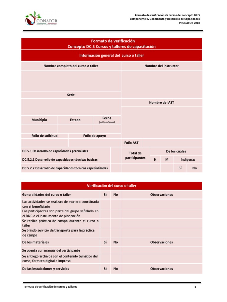 DC5 Formato de Verificación | PDF | Science | Ingeniería