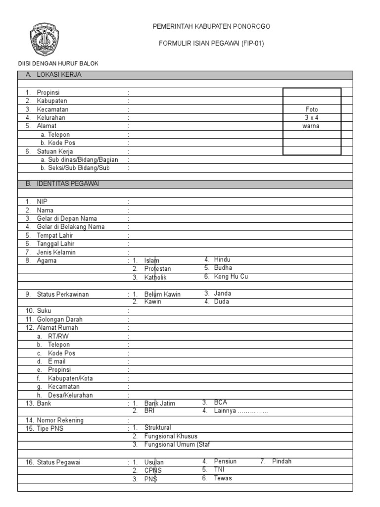 Form Isian Fip Pns | PDF