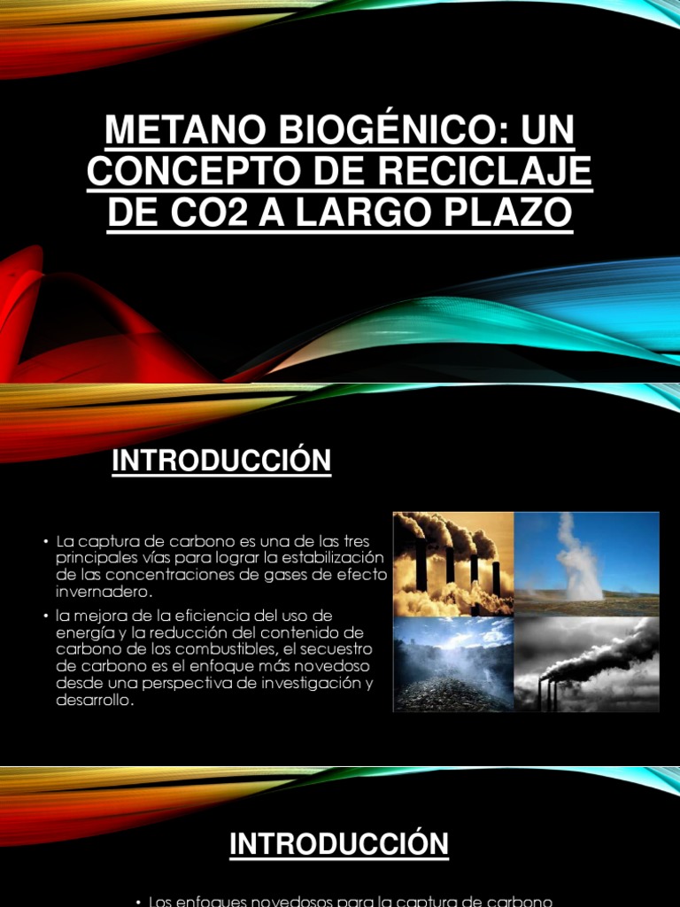 Metano Biogénico y Captura de CO2 | PDF | Arte | Ciencia y matemáticas