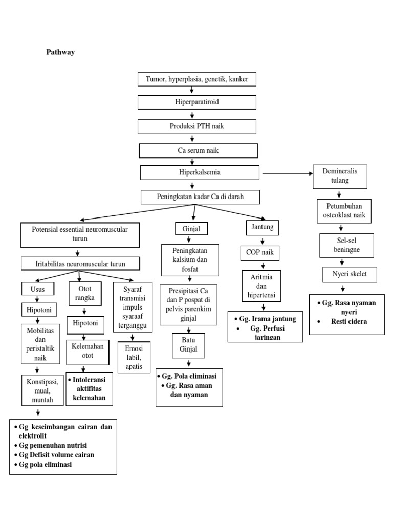 Pathway Hiperparatiroid | PDF