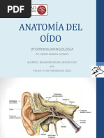 Otoscopia Normal | PDF | Oído | Anatomía