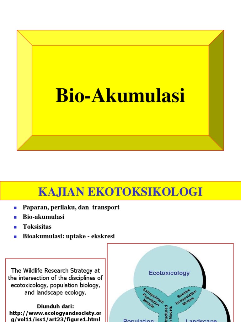 Prinsip Dasar Bioakumulasi | PDF | Chemistry | Wellness