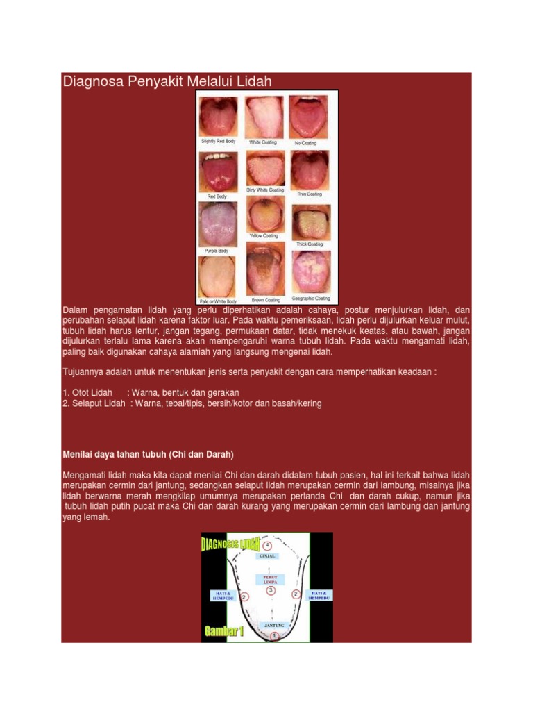 Diagnosa Penyakit Melalui Lidah | PDF