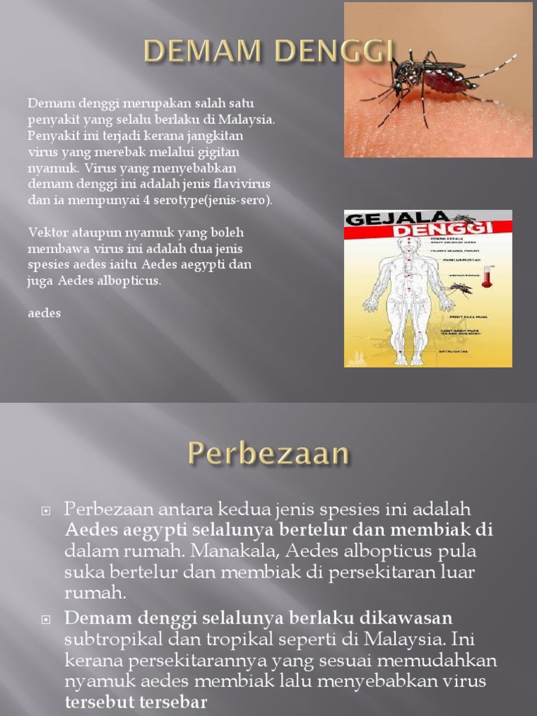Demam Denggi | PDF