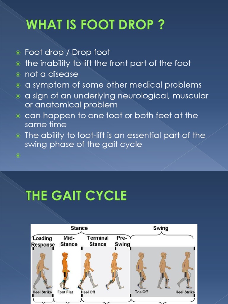 What Is Foot Drop | PDF | Foot | Nervous System