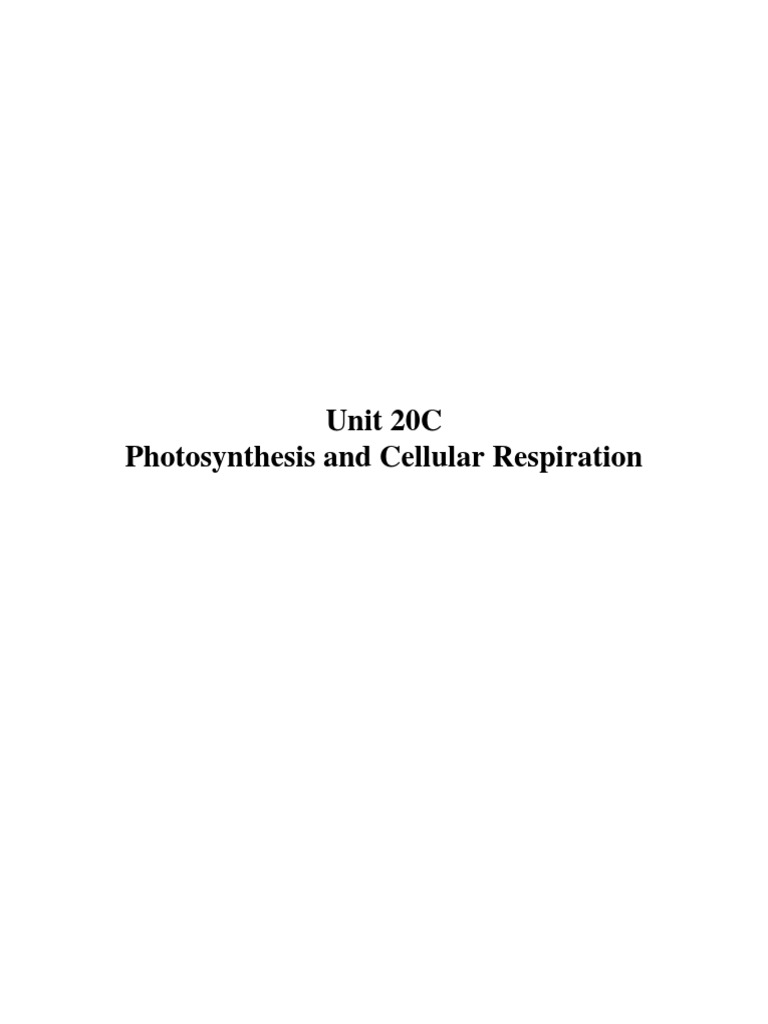 Unit20C Photosynthesis and Cellular Respiration | PDF | Photosynthesis ...