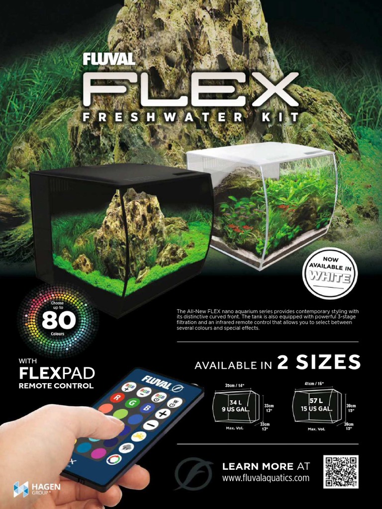 Flex | PDF