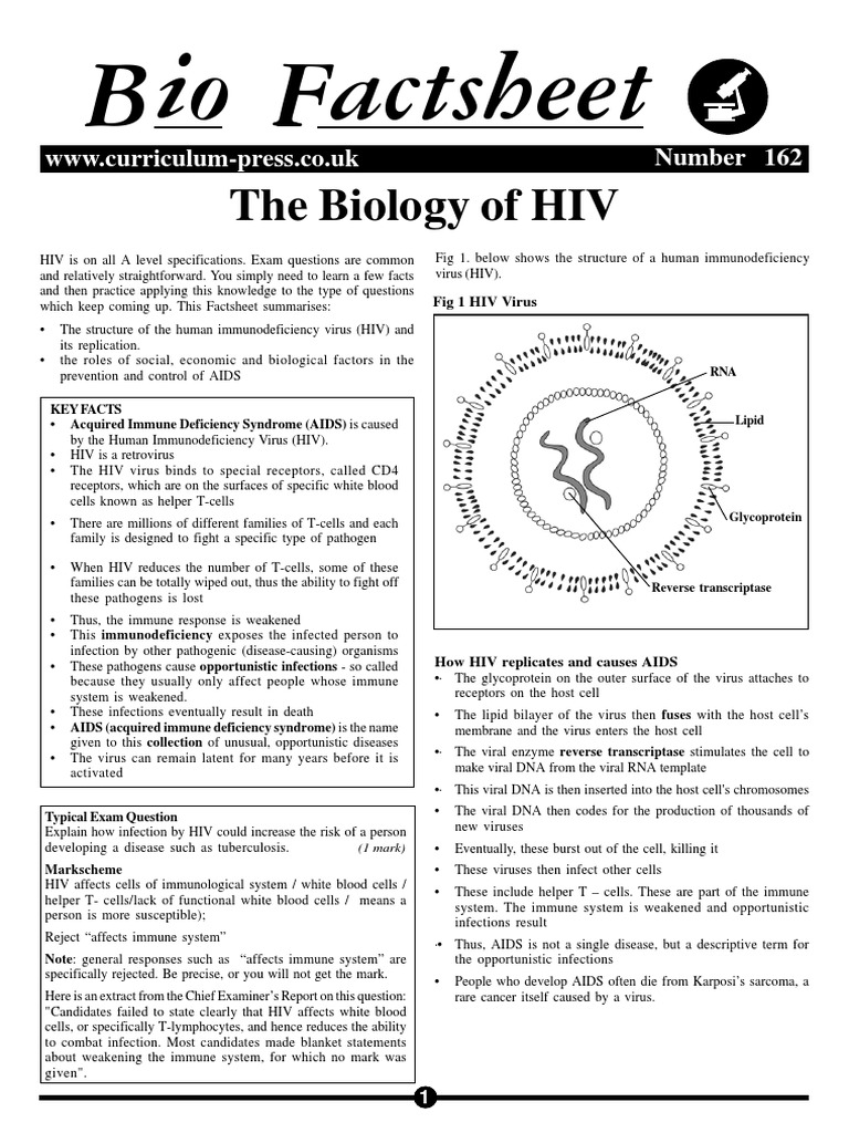 Bio Factsheet: The Biology of HIV | PDF | Virus | Hiv/Aids