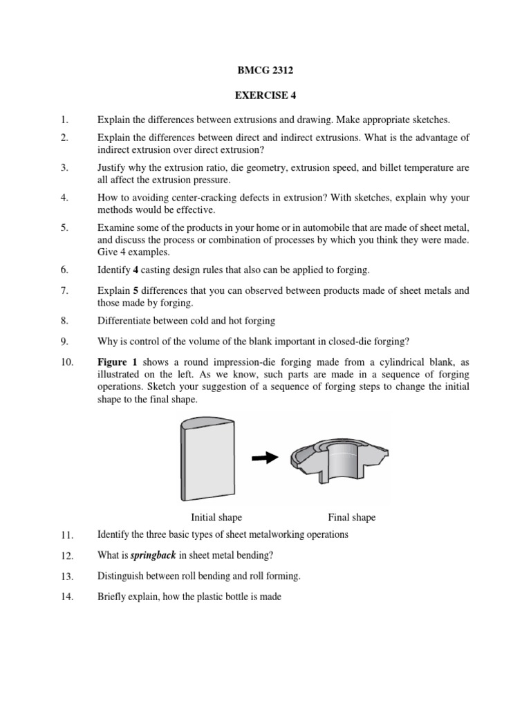 BMCG 2312 Exercise 4 | PDF