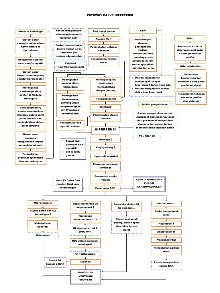 Pathway Hipertensi New | PDF